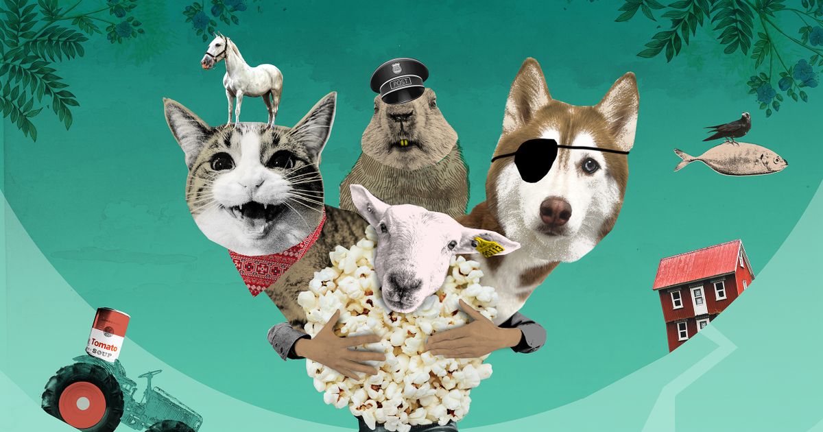 Oom Fjodor, de kleine dierenvriend (6+) — Het Filiaal theatermakers ...